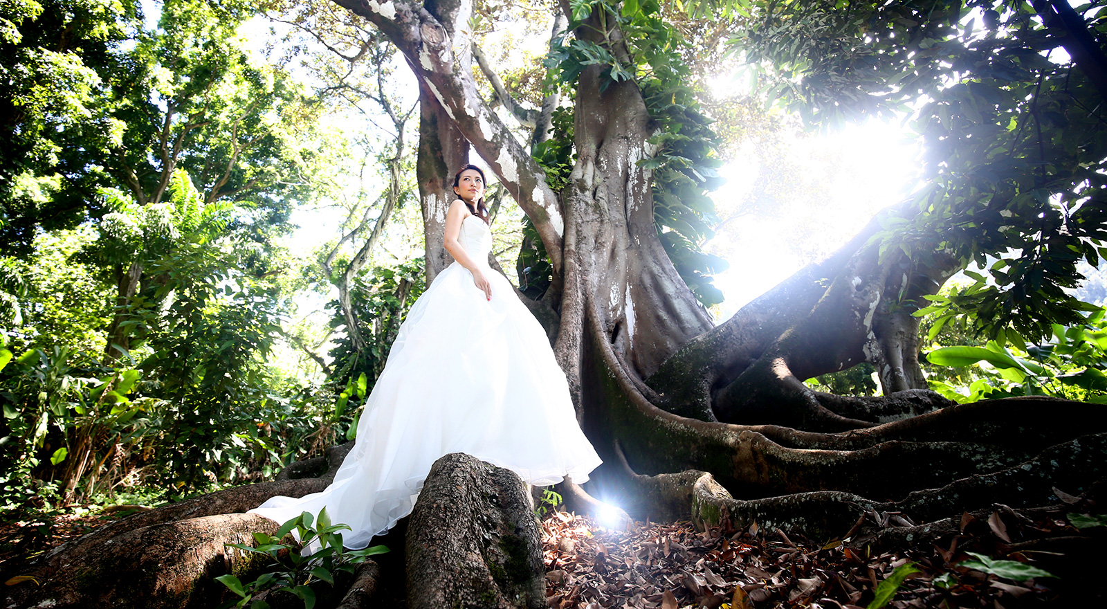 2C Concept Photography Hawaii：ハワイフォトツアー撮影・企画 | ハワイウエディング、フォトツアー ...