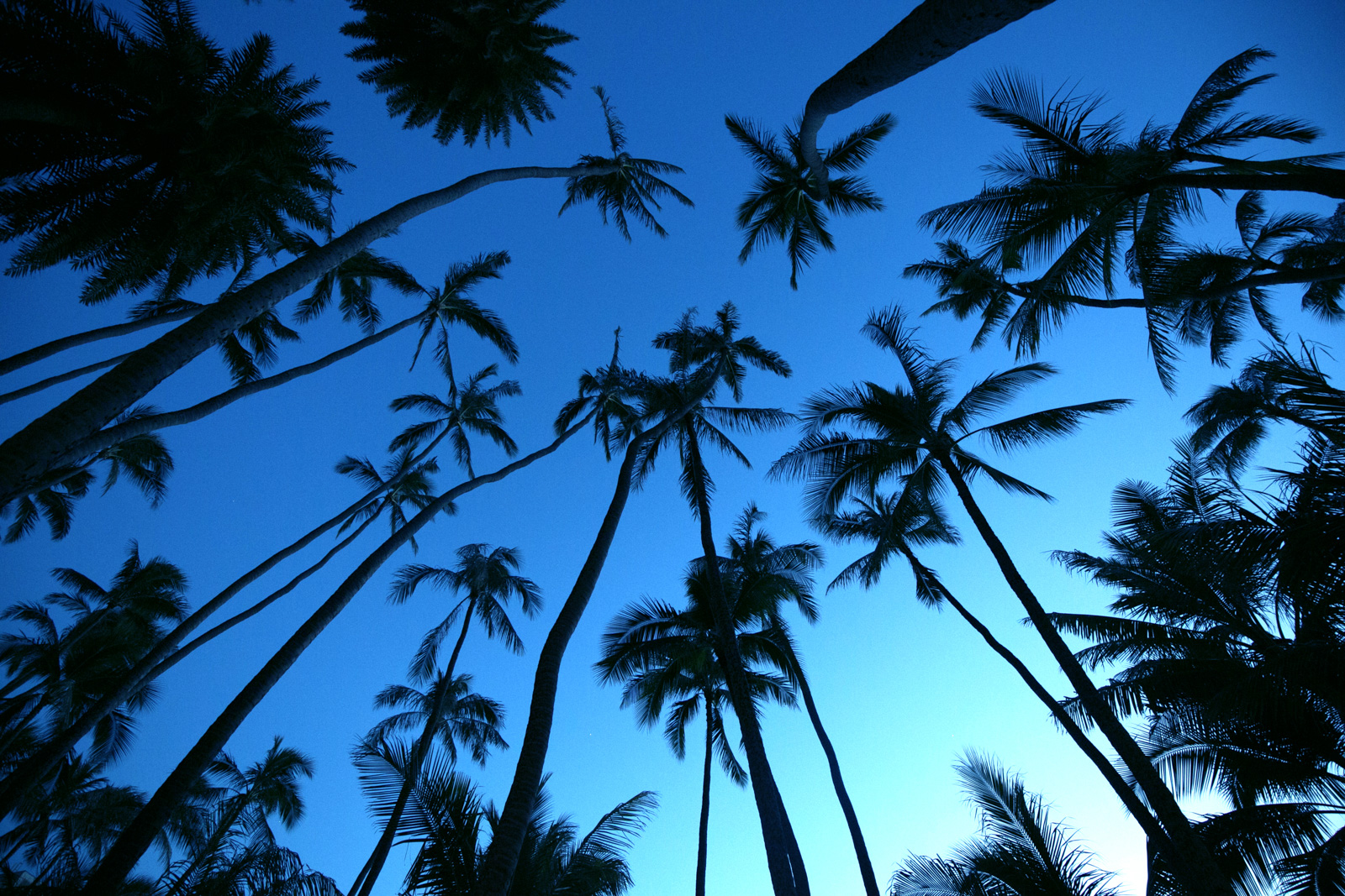 2C Concept Photography Hawaii：ハワイフォトツアー撮影・企画 | ハワイフォトツアー、ウエディング撮影 ：2C ...